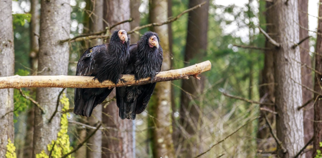 Explore Union Point - Union Point Marina